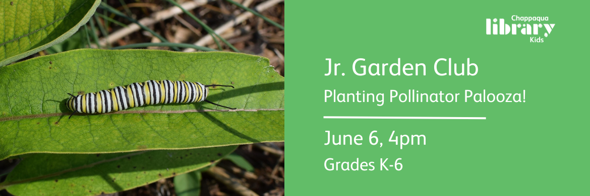 Home | Chappaqua Library